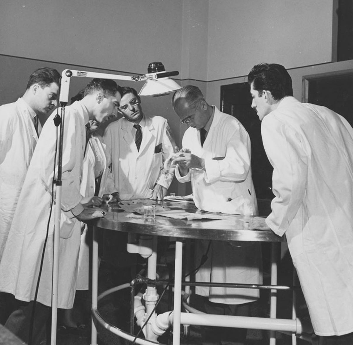 Hofer_Abb_03.jpg | Zeithistorische Forschungen